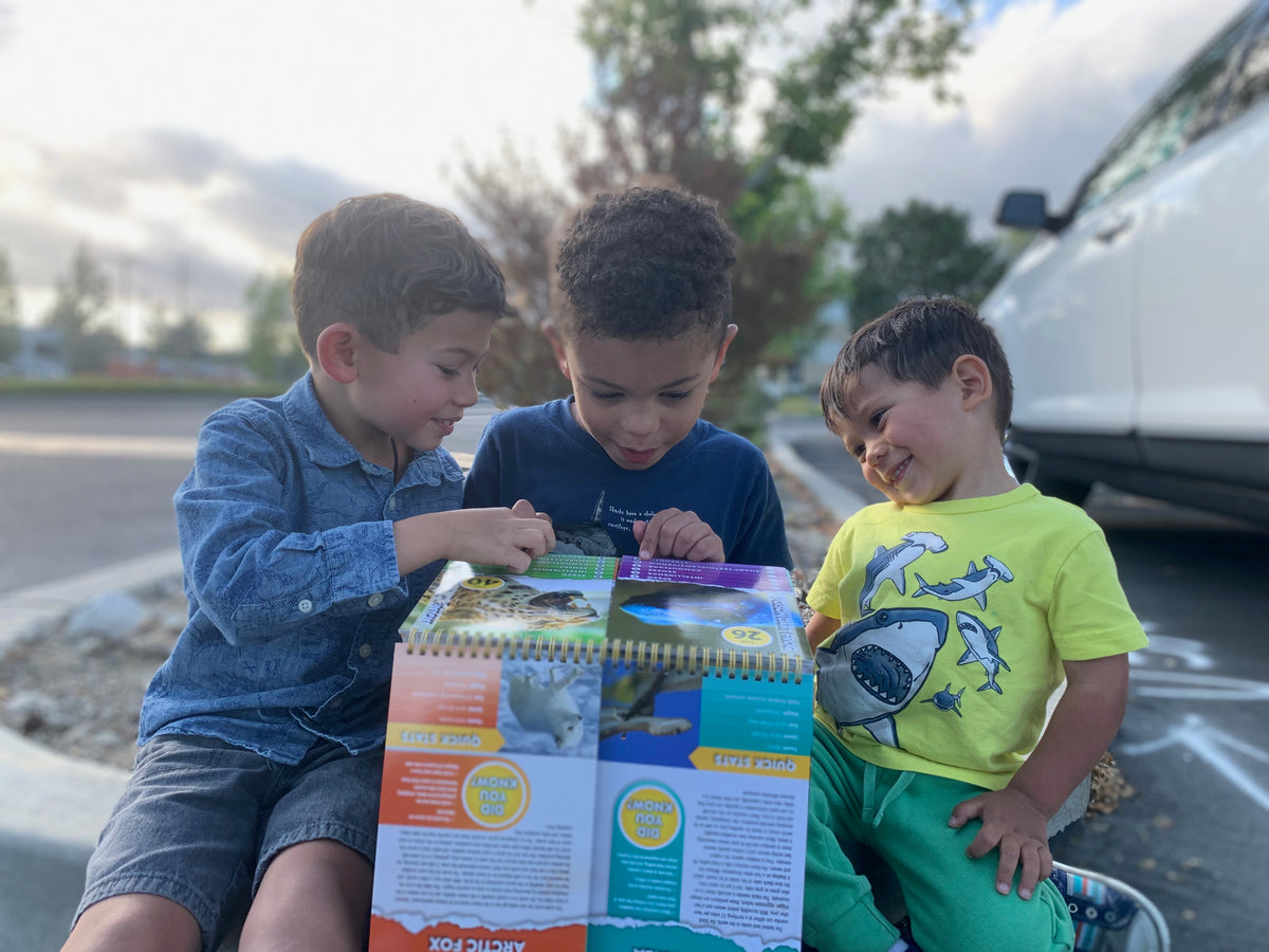 10 Must Read Exploration & Adventure Chapter Books for Kids - Wonder ...